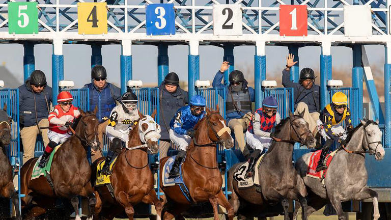 The 7 best horse races and predictions for Thursday, May 7th 2026