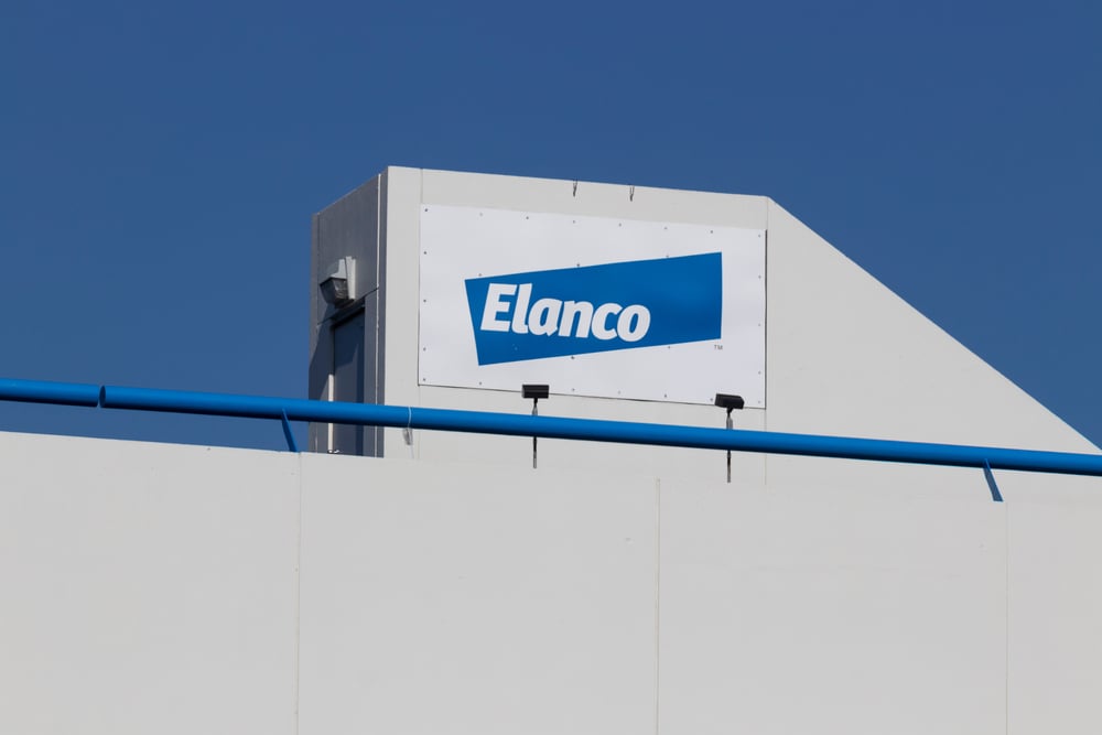 Elanco Animal Health moves higher on earnings strength and product momentum