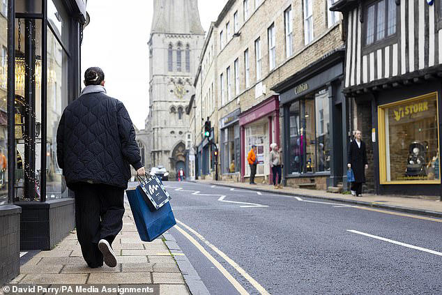Curse of High ST private equity buyouts that put workers and consumers ...