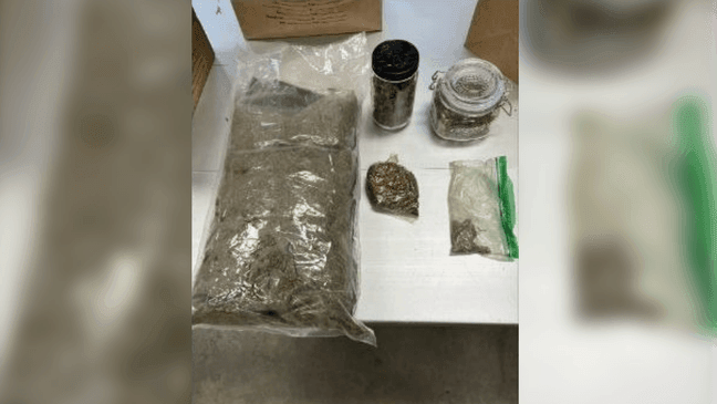 Burglary suspect arrested with meth, 8 lbs. of marijuana during traffic ...