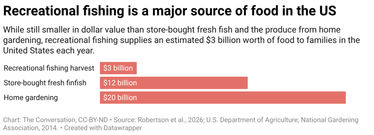 Recreational fishing in the US catches far more fish than previously ...
