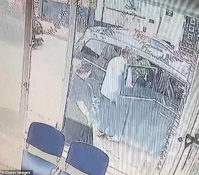 Moment thieves steal Chinese takeaway's 'lucky' money tree before ...