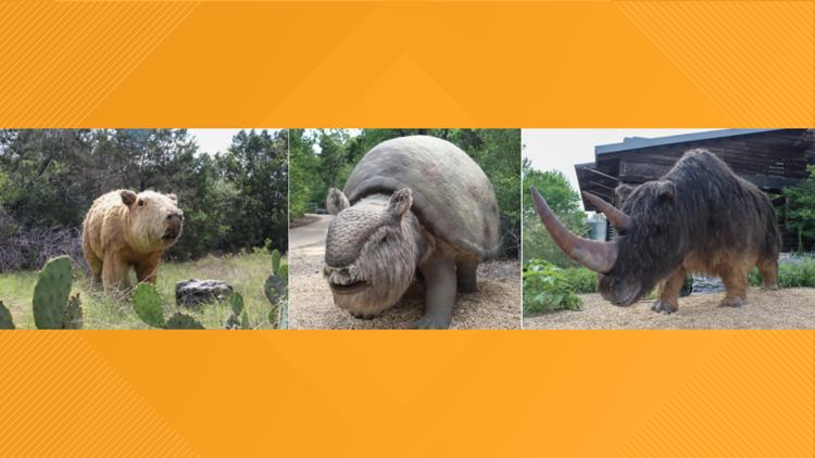 Animals from ice age to be featured in exhibit at LBJ Wildflower Center