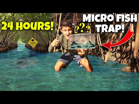 24 hour micro fish trap catches exotic creatures for my aquarium!