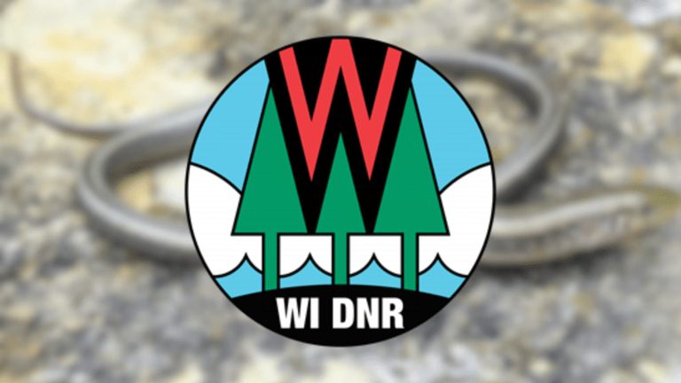 DNR: Expansion project in Wisconsin could lead to incidental taking of ...