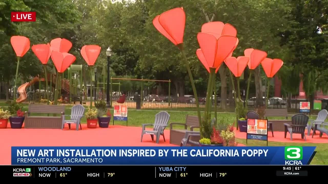 Poppy art blooms in Sacramento's Fremont Park