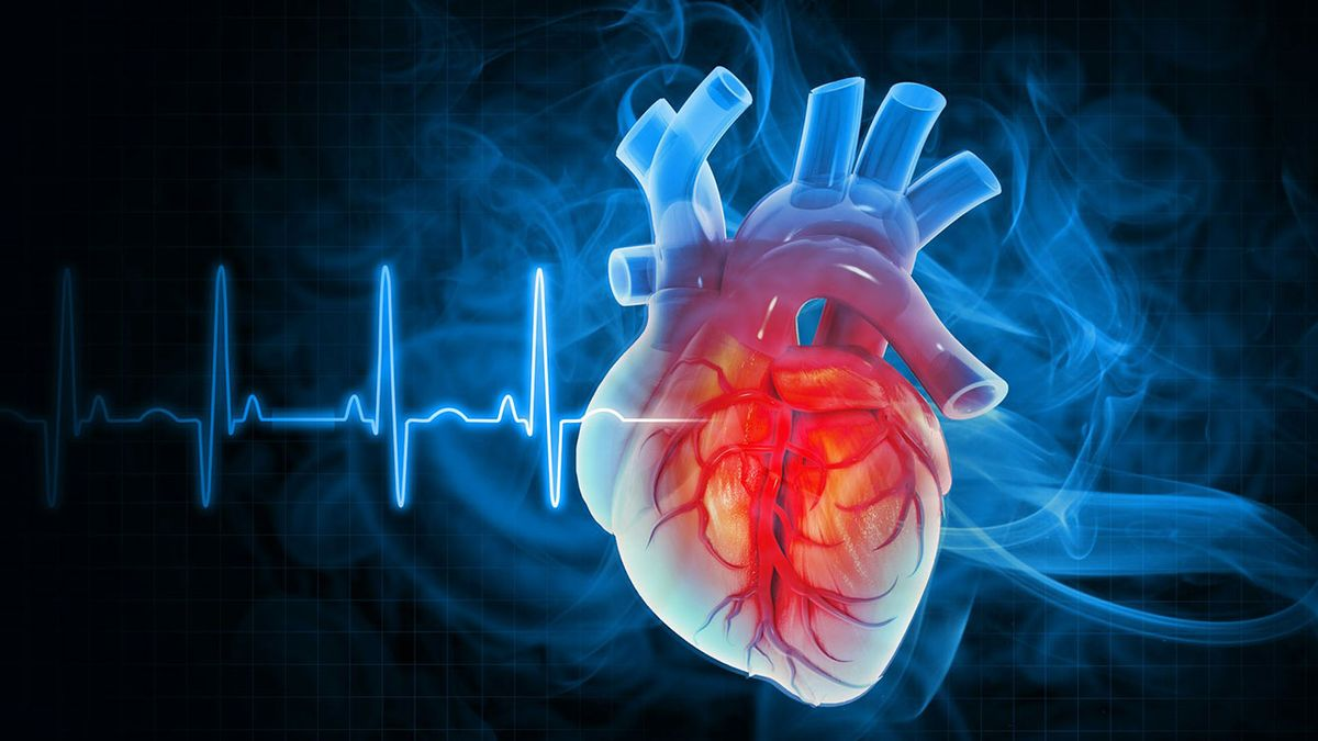 The new cholesterol guidelines your heart needs you to know now