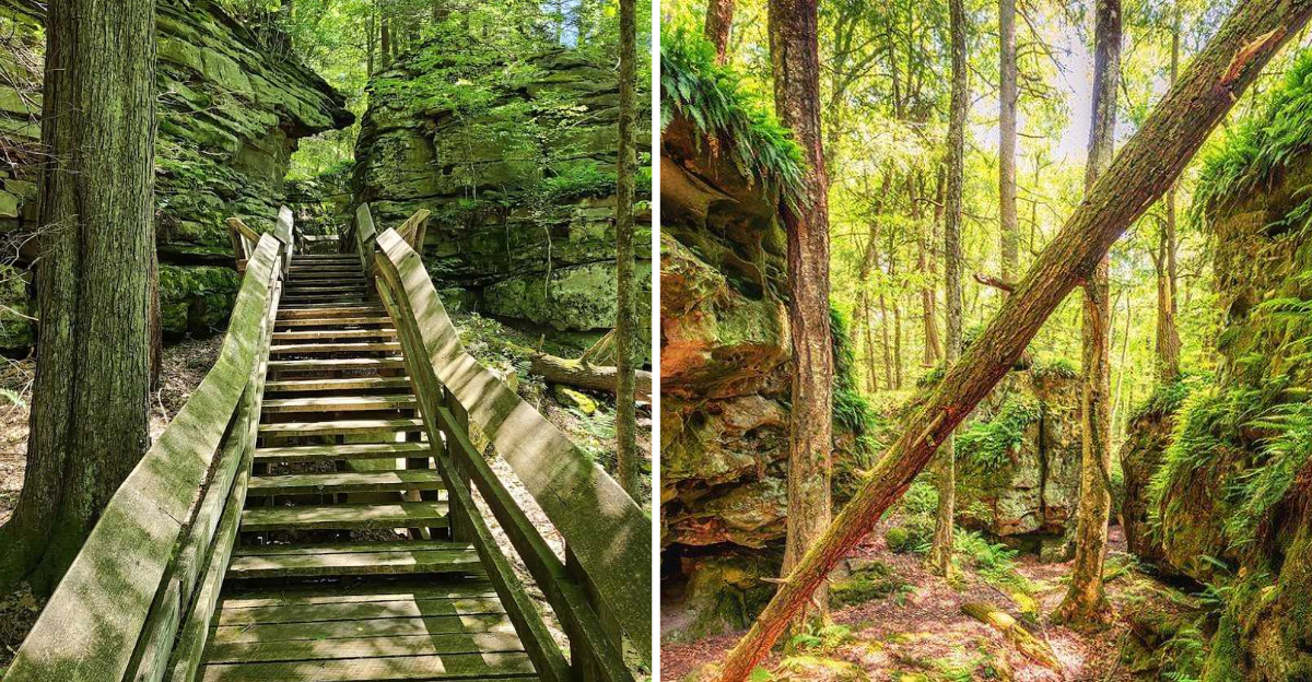 The West Virginia Narnia trail that turns a simple family hike into a ...