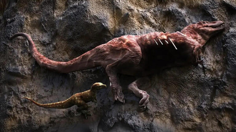 A student found 16 bite marks on a fossil and confirmed that ...