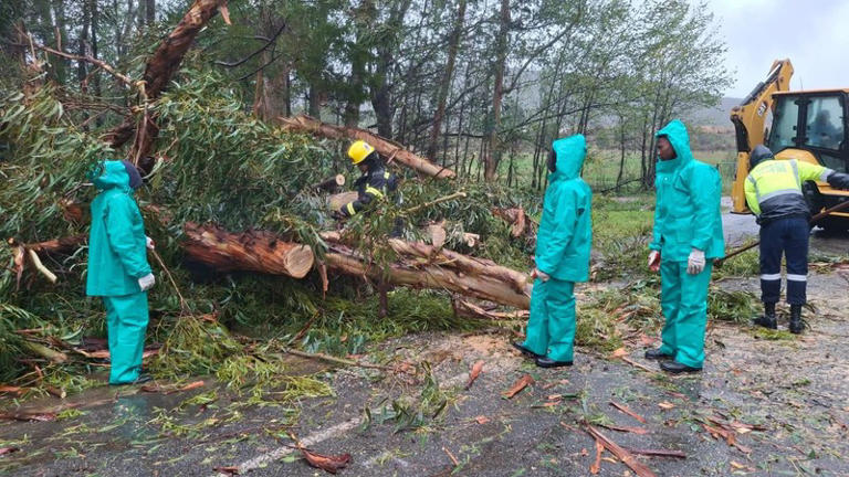 Social worker dead, 89 000 children stay home due to Garden Route storm