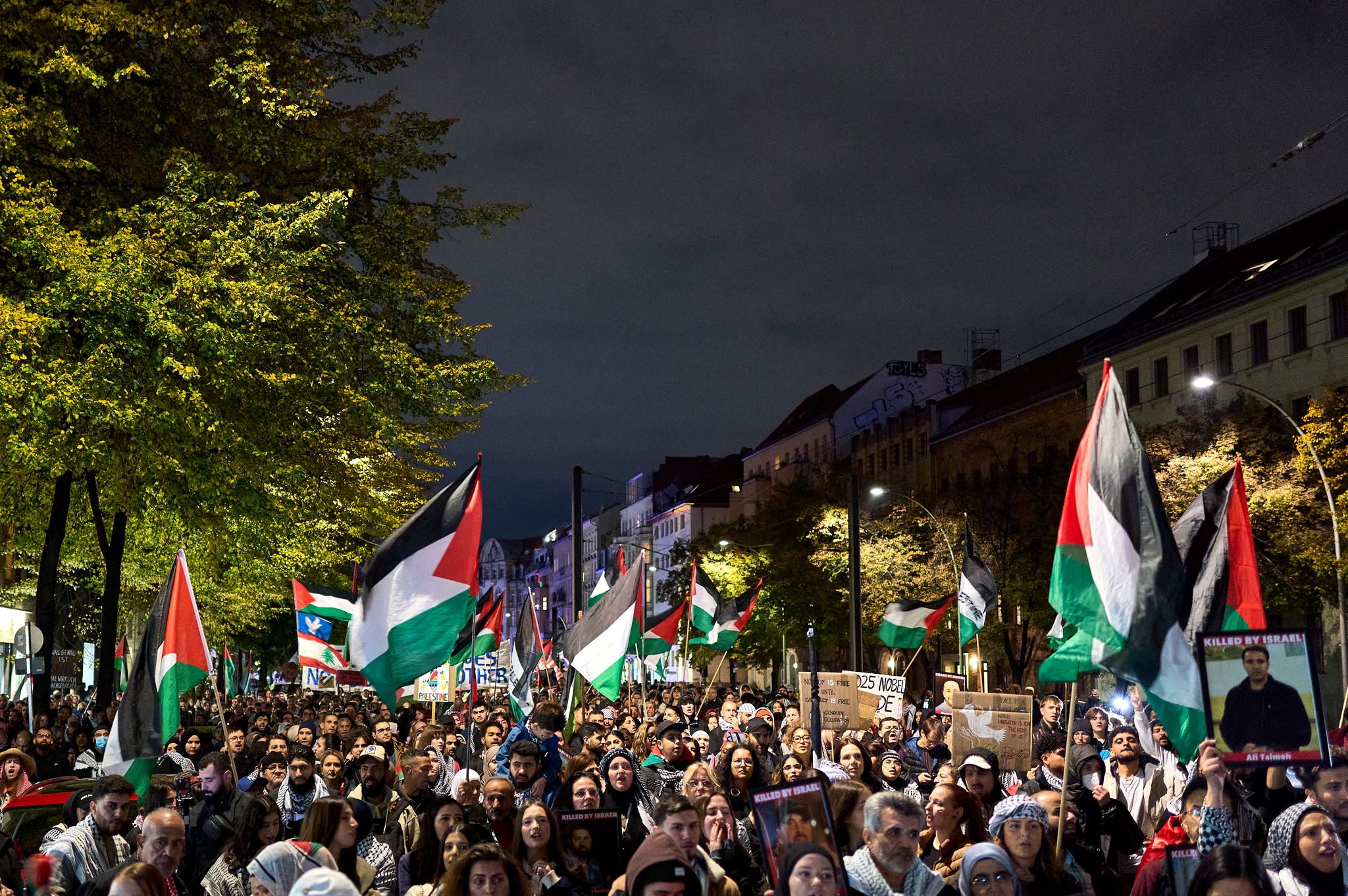 Berlin court halts deportation of Irish woman over Palestine protests