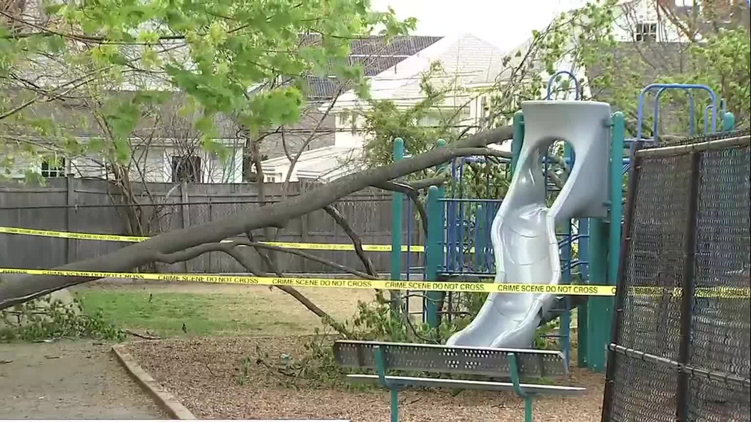 Child dies after being hit by tree on school playground