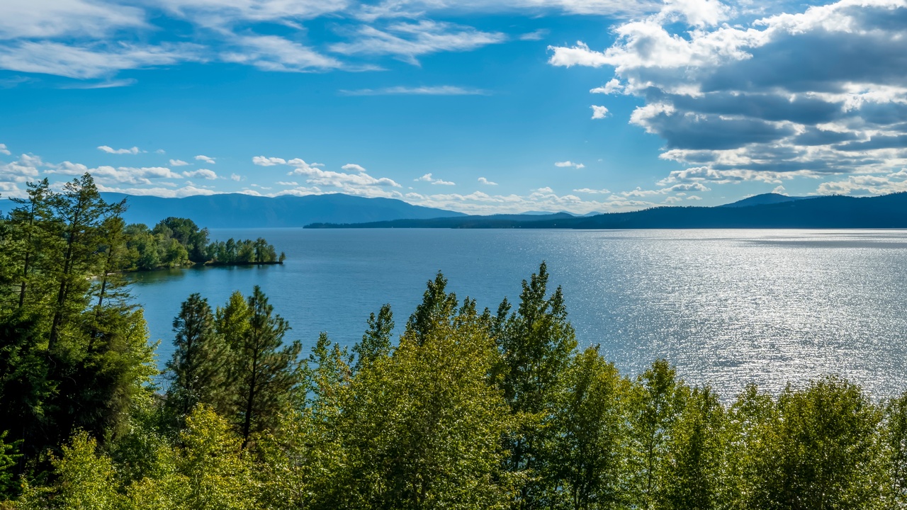 Northern Idaho has 2.5 million acres of old cedars, gem mines, and ...