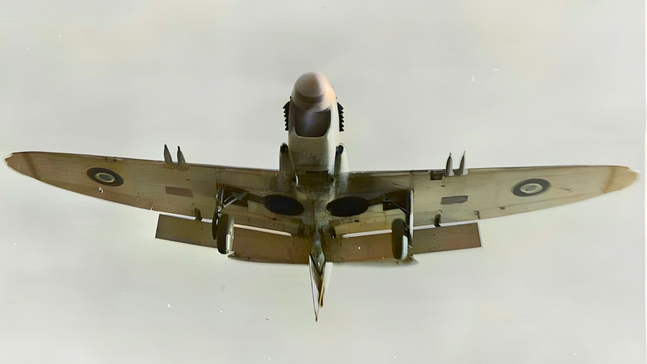 The naval fighter trusted to hunt the Bismarck