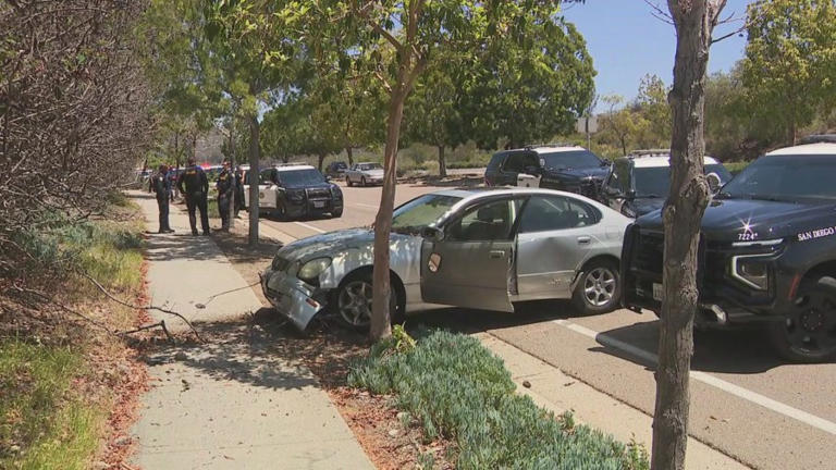 Police pursuit ends in Carmel Mountain Ranch