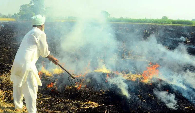 Punjab gets breather after 9 days of surge in farm fire cases; Sangrur ...