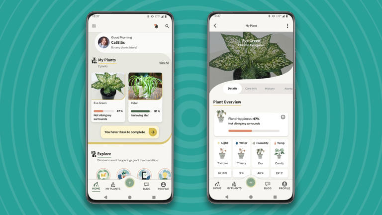 These smart sensors are 'like a Fitbit for houseplants' — can they make ...