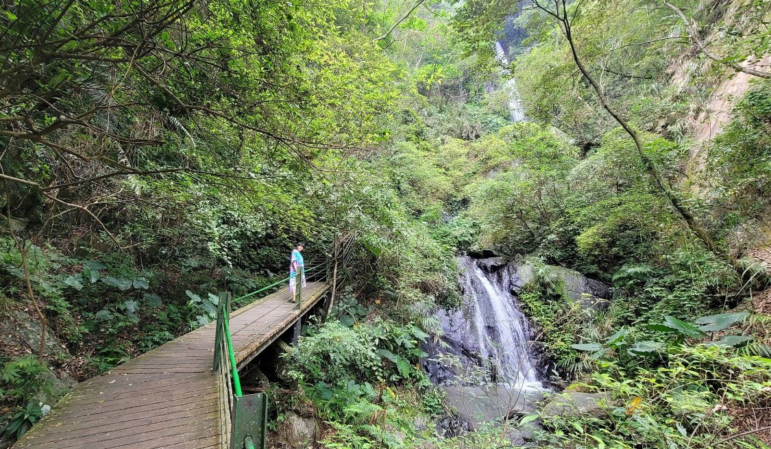 Teenager dies moments after warning rope swing harness wasn’t tight enough