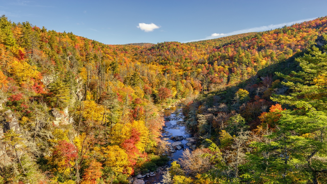 Most drivers miss this ancient North Carolina gorge that drops 1,500 ...