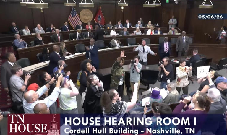 'Memphis is Black': Protesters shout down House redistricting committee ...