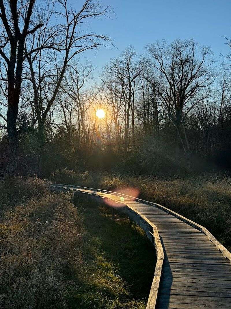 13 easygoing New Jersey walks that feel like a mini adventure