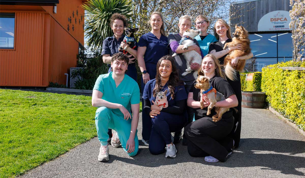 Calling all animal lovers! RTE favourite to return to our screens