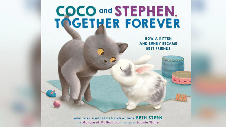 Exclusive: Beth Stern says her new children's book 'Coco and Stephen ...