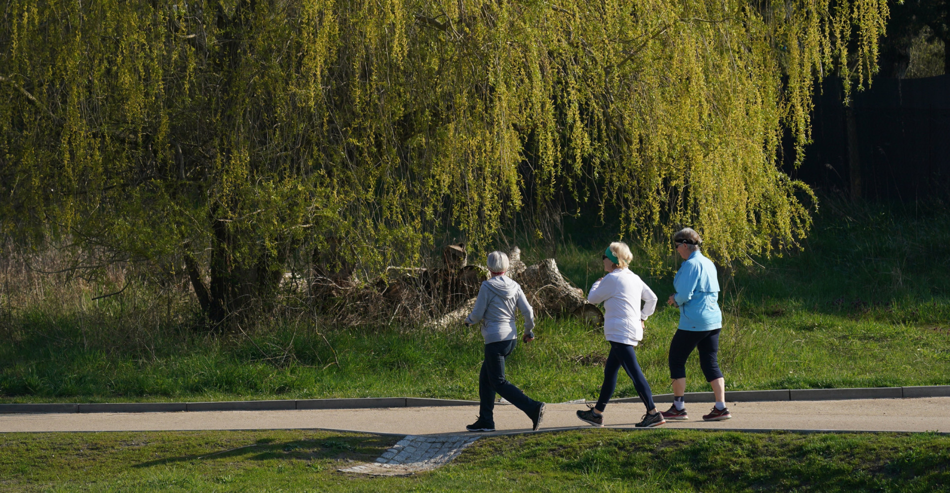 The health benefits of walking