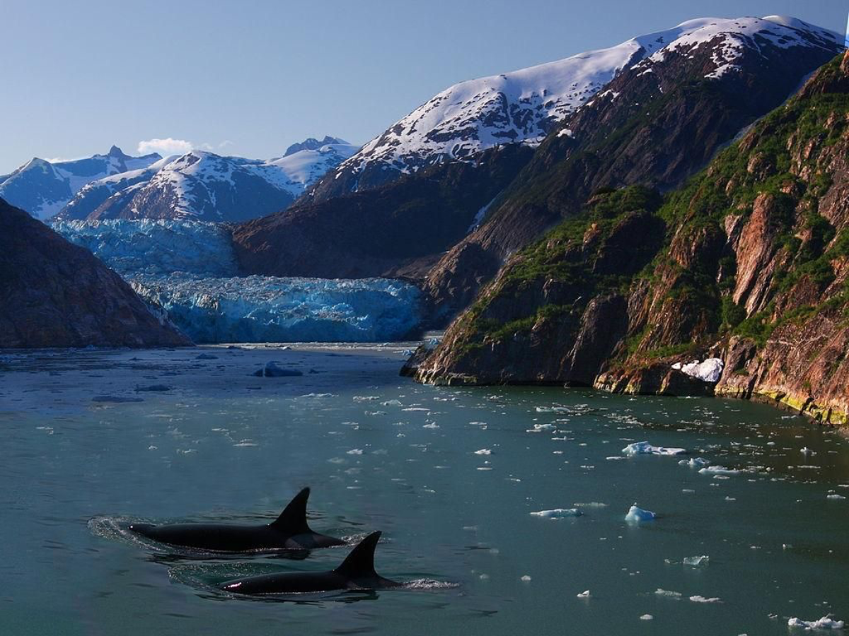 Alaska's 2025 mega tsunami exposes rising cruise ship risks as glaciers ...
