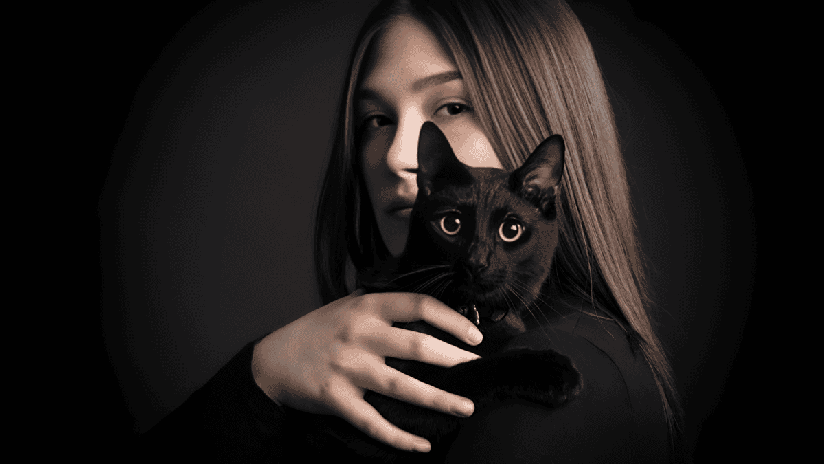 10 truths about black cats and bad luck myths