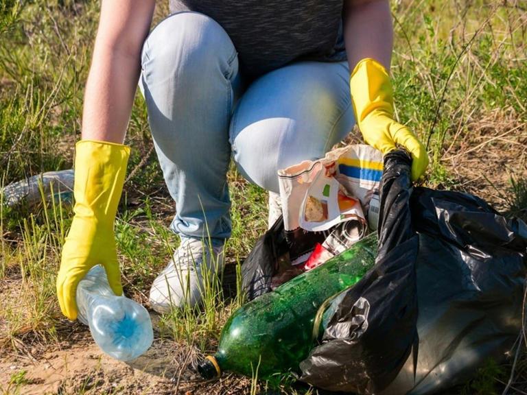 Toms River receives $270K grant to address littering