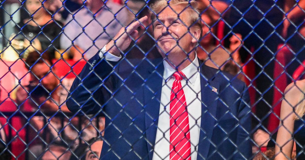 Suit seeks to cancel Freedom 250 UFC fight on White House lawn ...