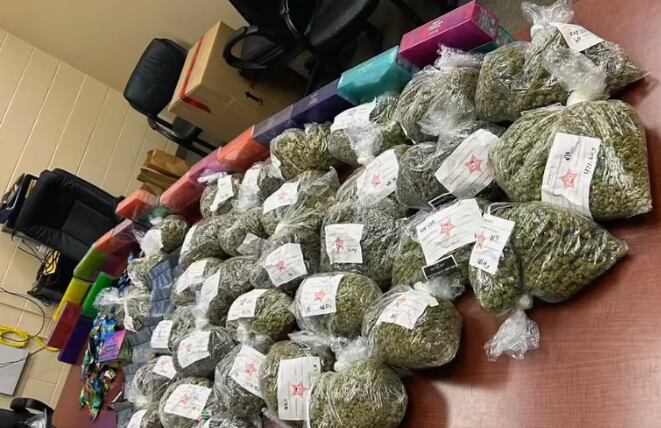 $190K marijuana, THC seizure in Marianna