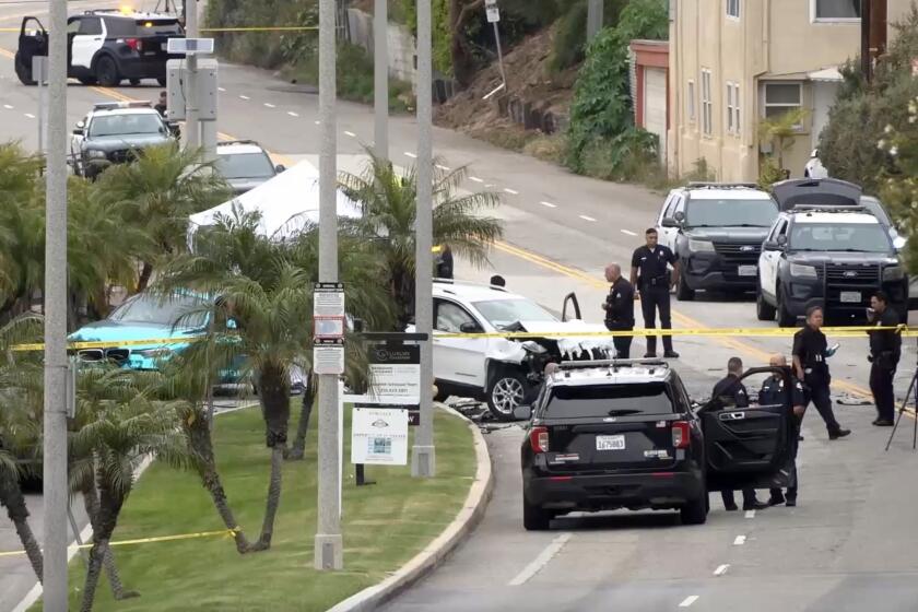 Arrest made in Playa del Rey hit-and-run that killed man and his 1-year ...