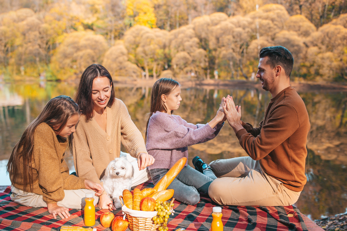 7 quick and easy finger food recipes for your next picnic