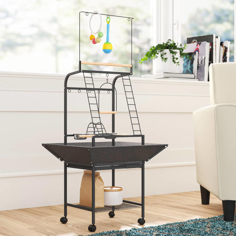 Discover the Wayfair parrot playstand: A fun and organized space for ...