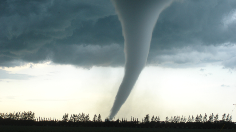 Tornado hits Garden City and Purvis in Mississippi; Hattiesburg under alert