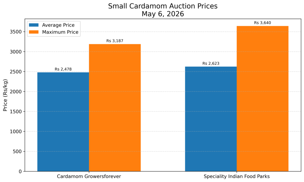Cardamom markets signal diverging momentum as small cardamom auctions ...