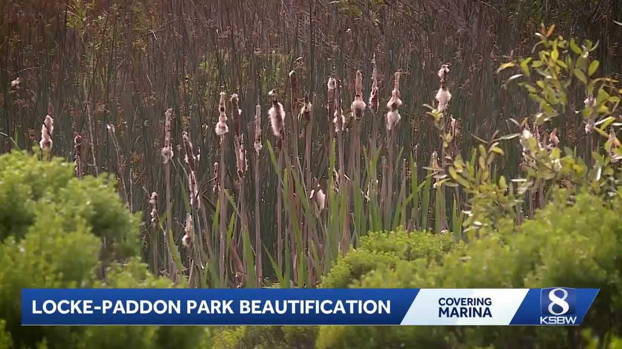 Marina considers Asian American garden for Locke-Paddon Park amid ...