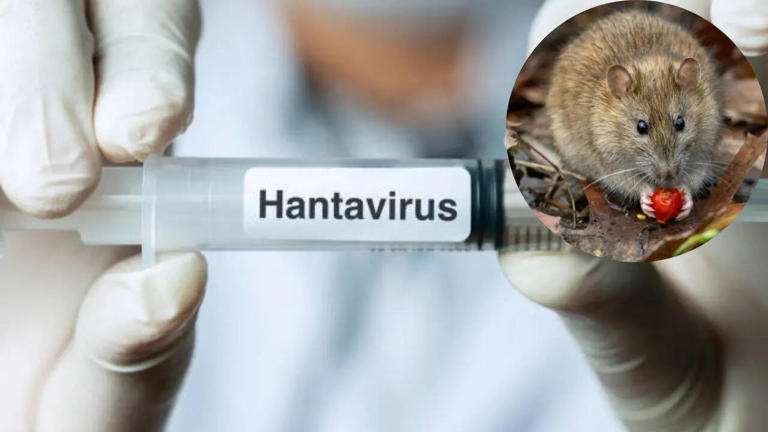 Hantavirus latest: More cases confirmed on cruise ship - WHO says 'not ...