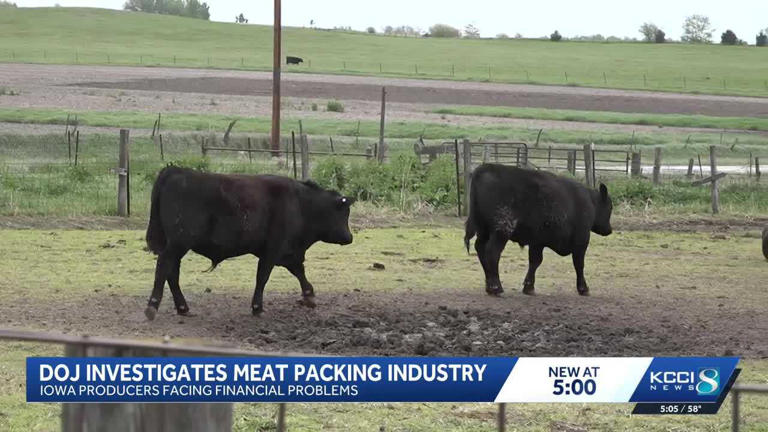 Iowans react to meat industry investigation