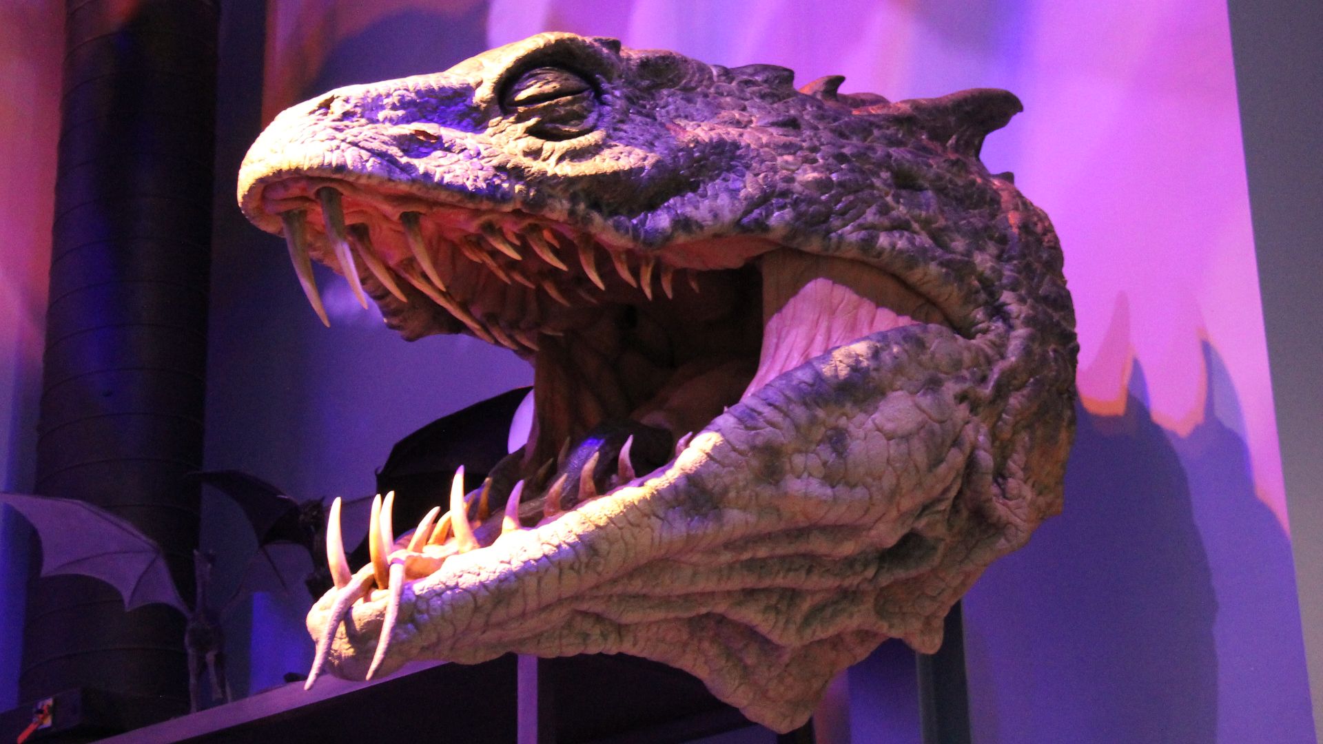 10 Harry Potter Objects That Would Be Total Safety Hazards In Real Life ...