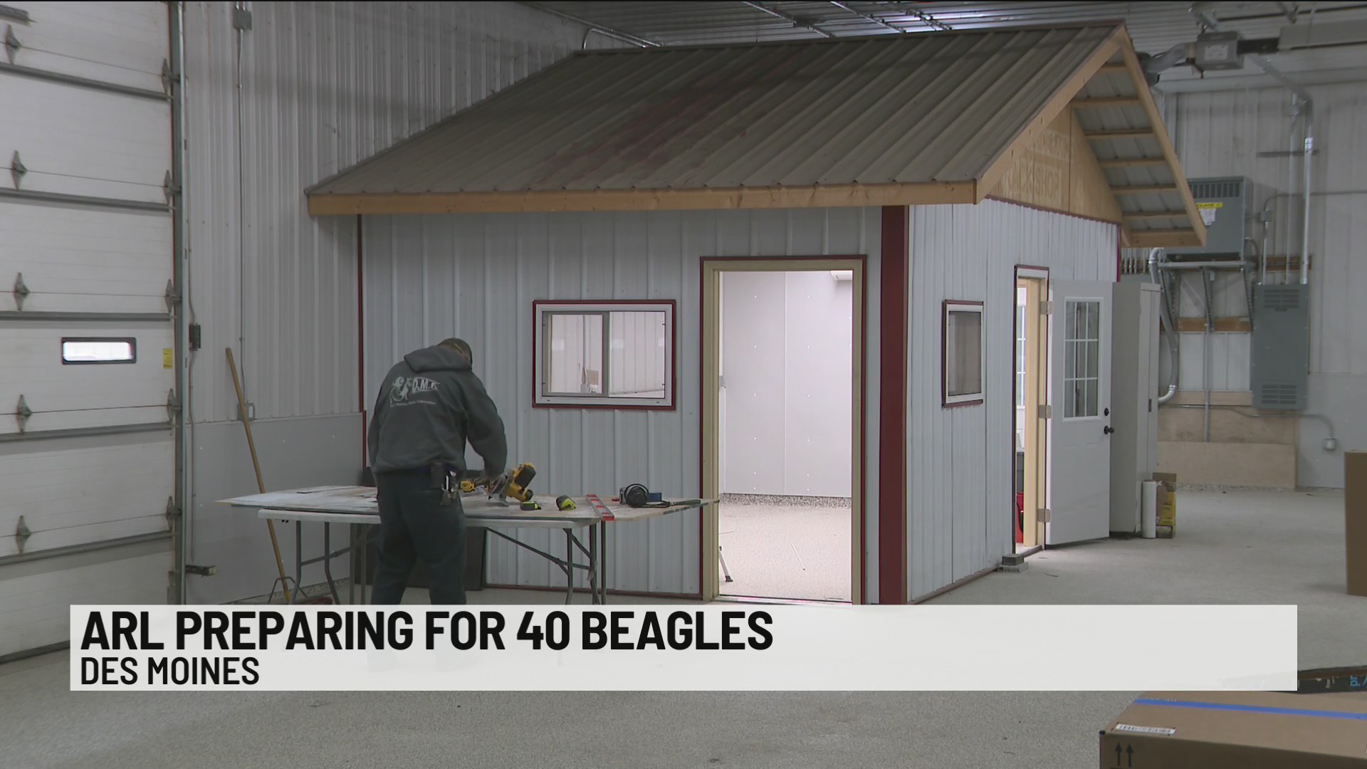 ARL of Iowa prepares to take 40 beagles from Wisconsin breeding facility