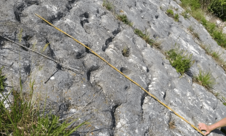 80-million-year-old tracks discovered by rock climbers in Italy reveal ...