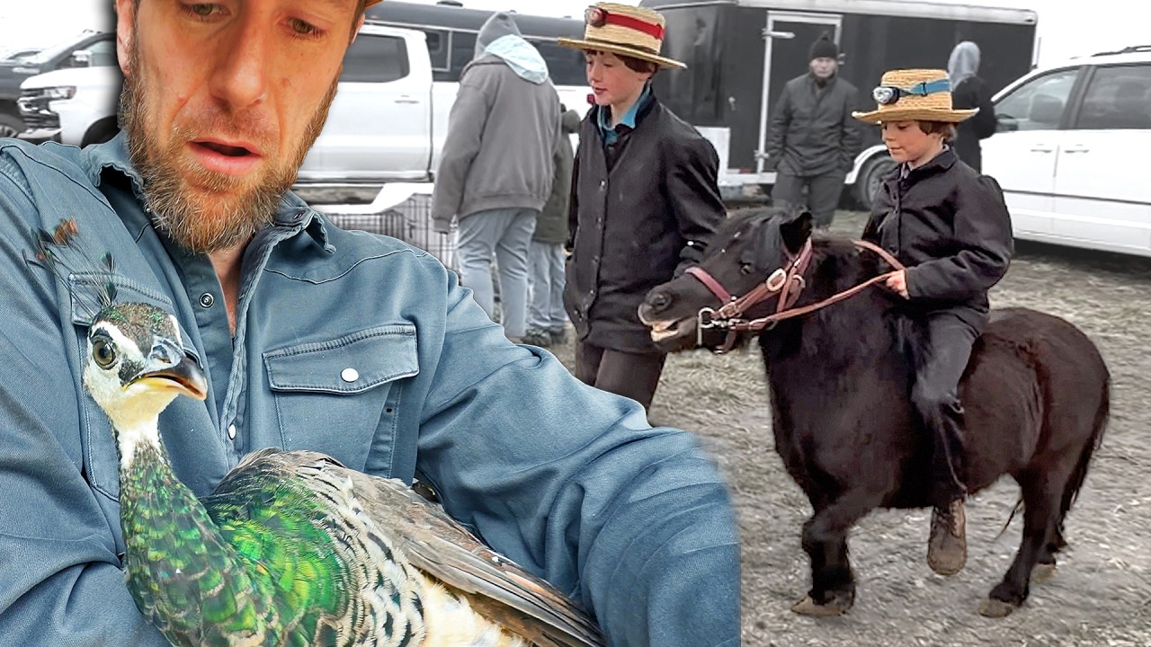 We went to the largest exotic animal swap in the Midwest