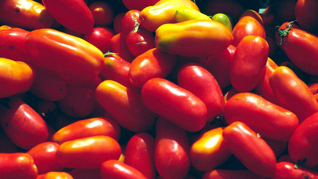 Popular food brand Cento accused of 'tomato fraud' in lawsuit