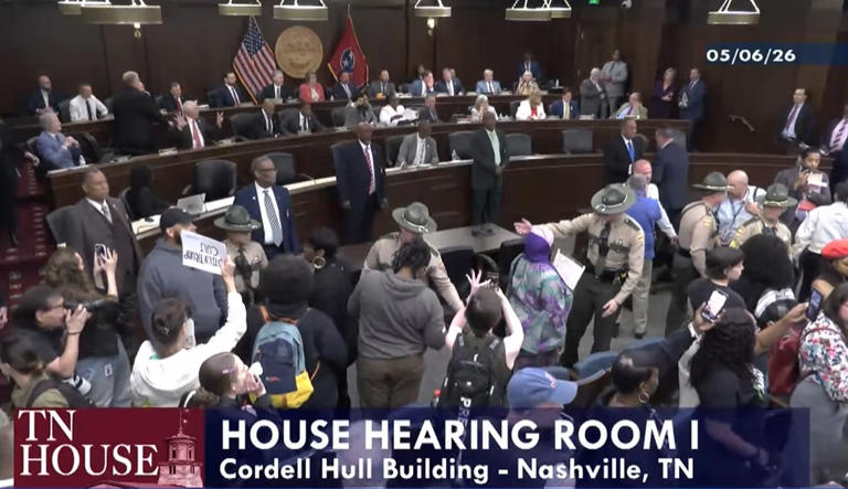 'Memphis is Black': Protesters shout down House redistricting committee ...