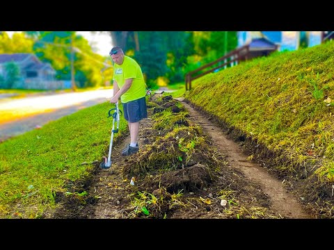 Satisfying sidewalk transformation: From overgrown mess to sparkling clean!