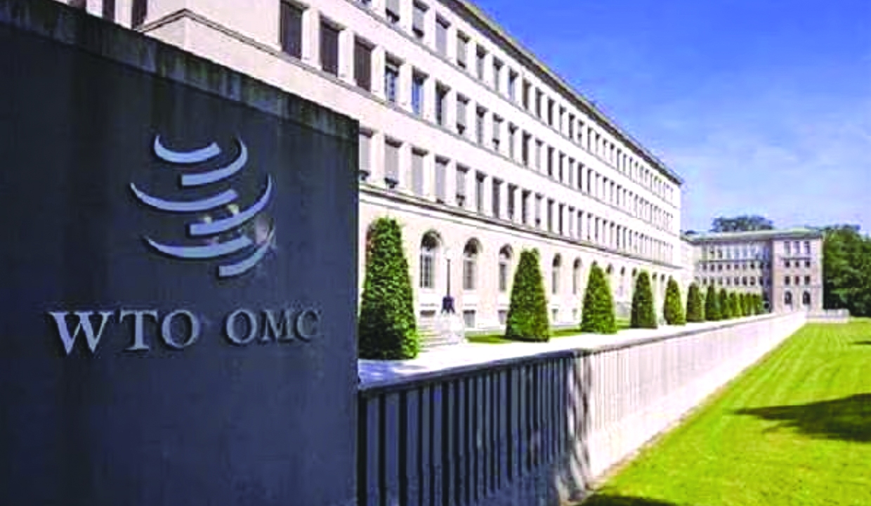 India should adopt dual-track trade strategy at WTO: Expert