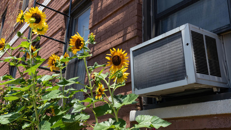 Consumer Reports names the best window air conditioner for small rooms ...